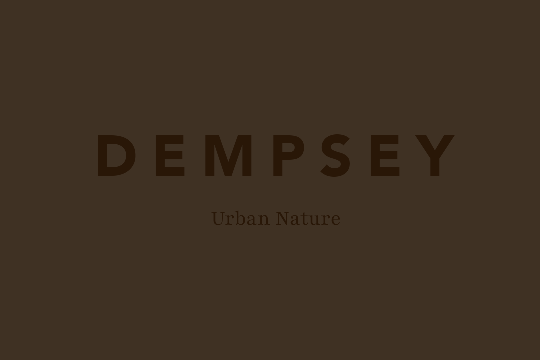 Dempsey Collection - Contemporary Furniture – HomesToLife